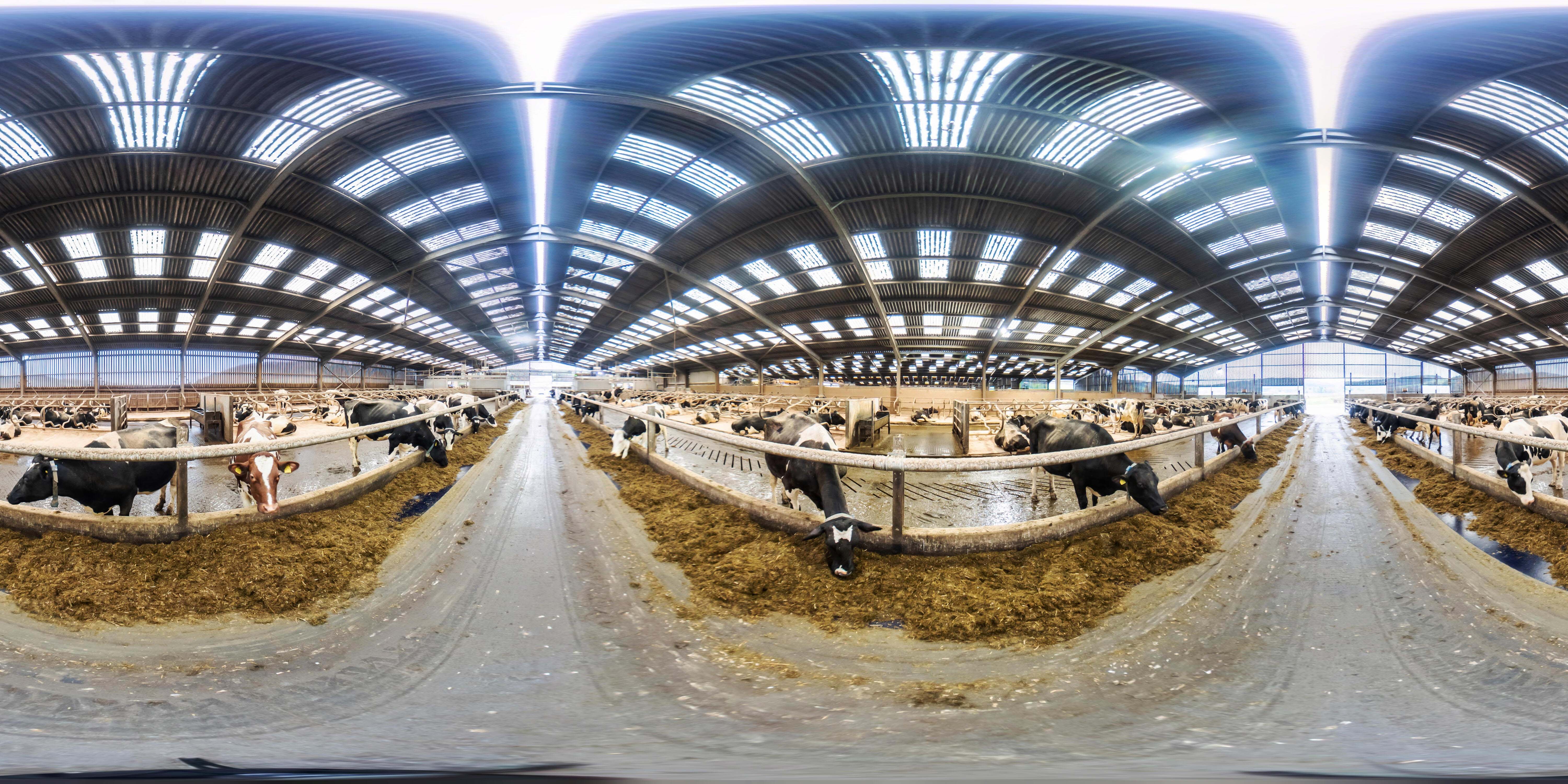 Agriculture : Study With Us , Aberystwyth University