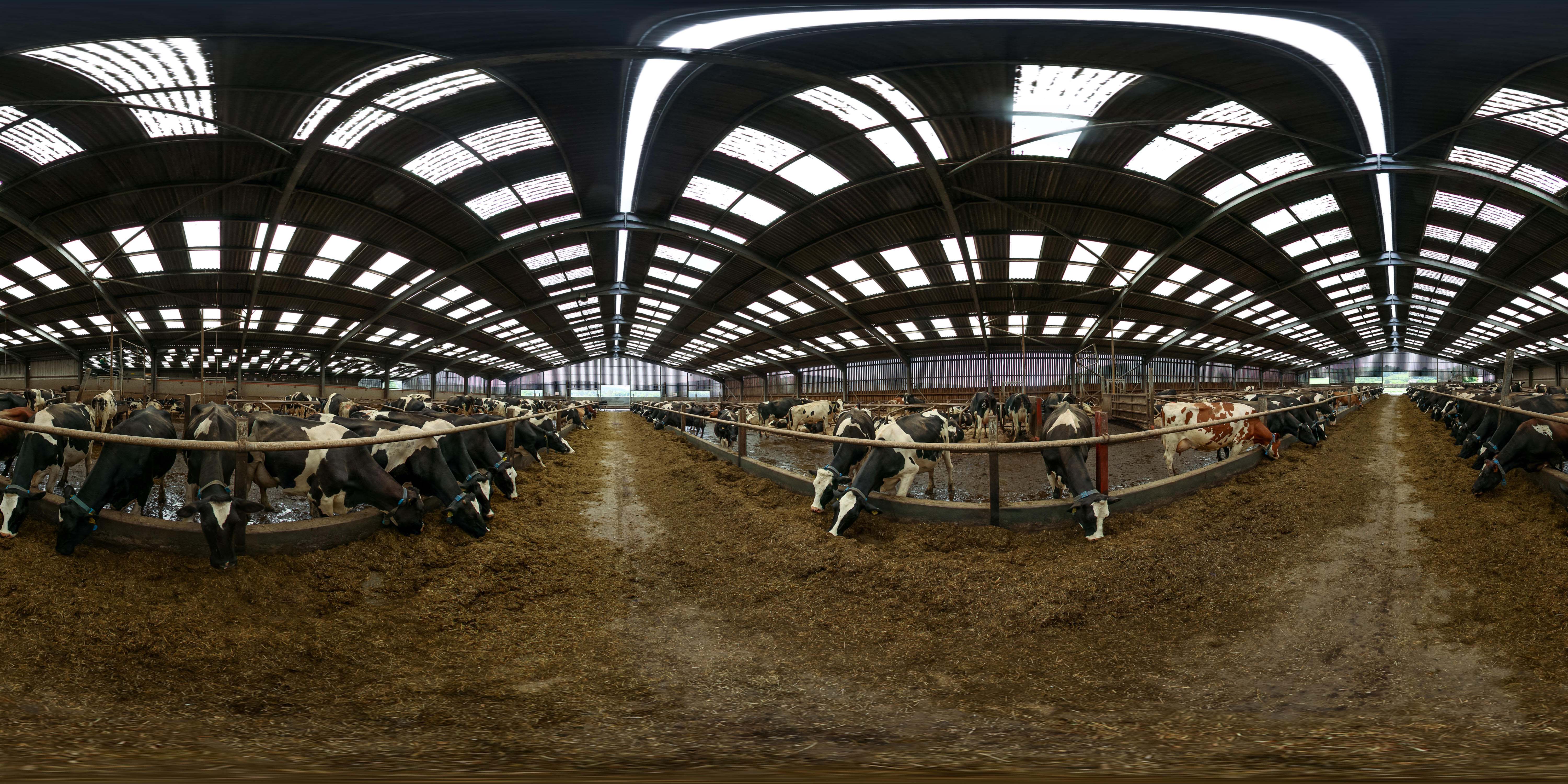 Agriculture : Study With Us , Aberystwyth University