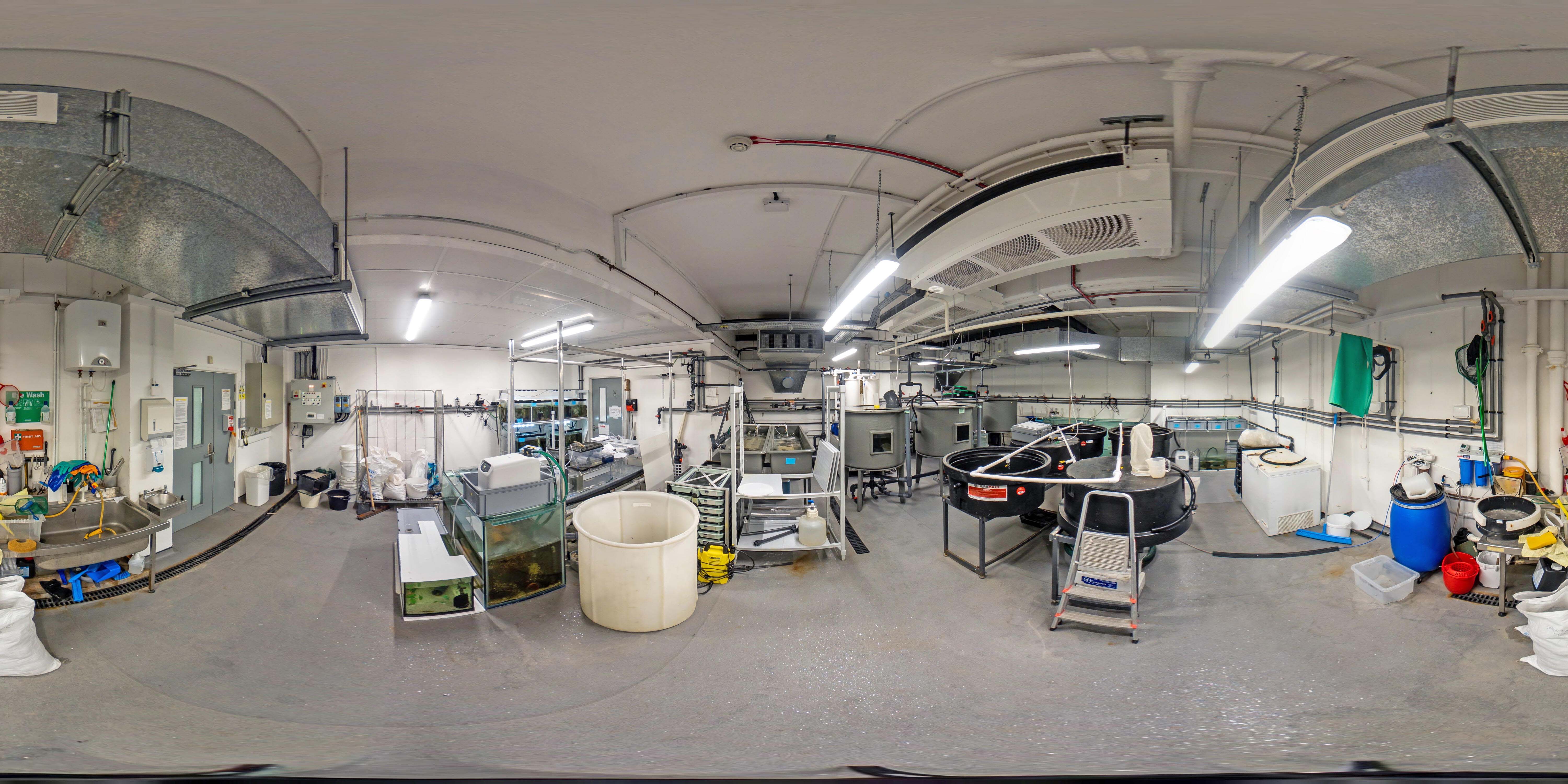 Animal & Aquatic Sciences : Study With Us , Aberystwyth University