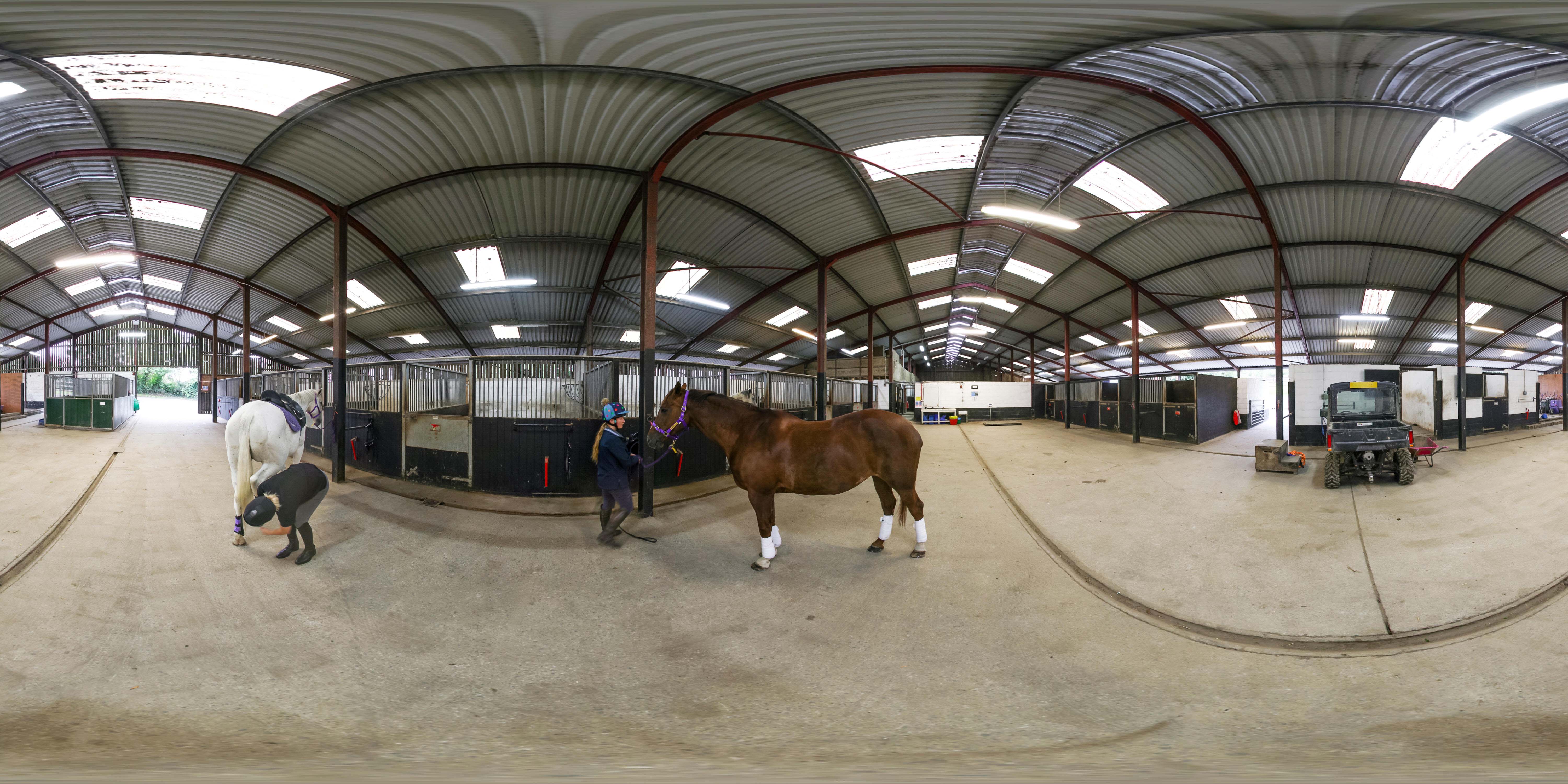 Animal & Aquatic Sciences : Study With Us , Aberystwyth University